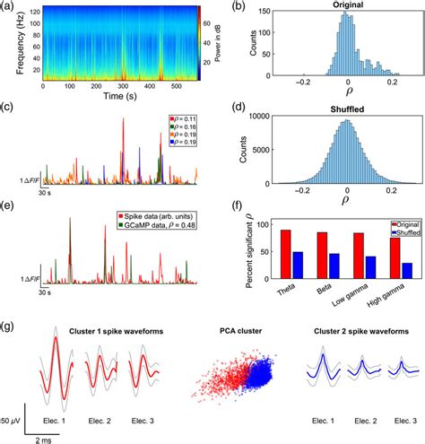 Gcamp Versus Electrical Data Cross Correlation Results Analyzing Data Download Scientific