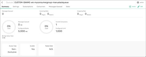 Custom Name For Your Queues When Using Spring Cloud Stream Binder For Solace Pubsub Solace