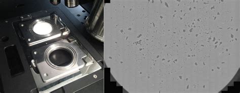 Characterization Of Microplastics Using Morphologically Directed Raman