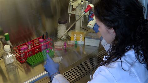 Video Author Spotlight Enhancing Skin Model Diversity With Cost