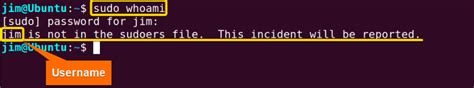 The Whoami Command In Linux 5 Practical Examples