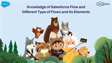 Knowledge Of Salesforce Flow And Different Type Of