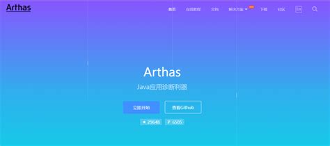 Arthas诊断工具在docker中使用 肖恩雷 博客园