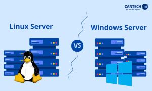 Linux Server Vs Windows Server Key Differences