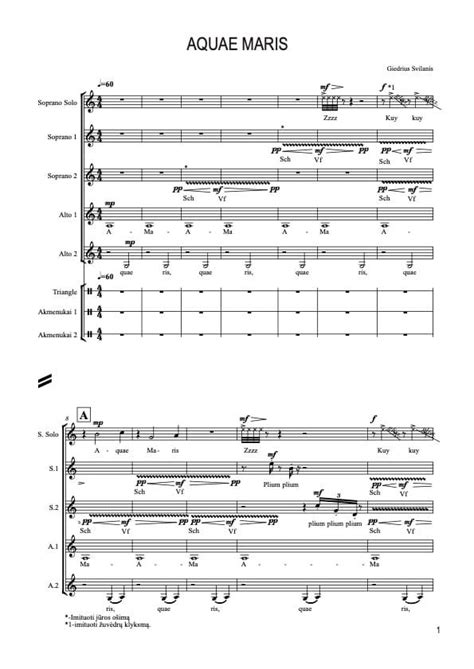 Aquae Maris Lietuvos Chorų Sajunga