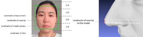 Facial Features Extraction The Face Is Detected Within The Green Download Scientific Diagram