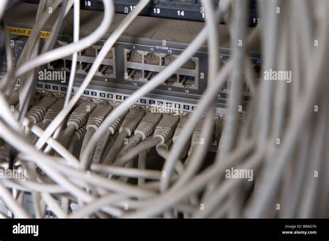 Cables Connected To A Network Server Stock Photo Alamy