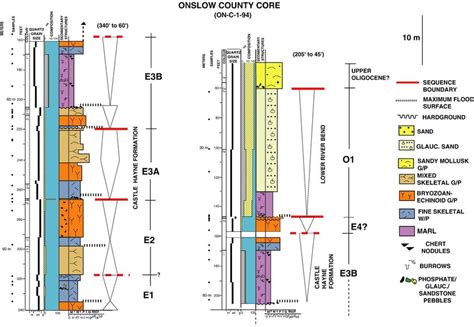 Lithologic Log Of Onslow County Core Middle Eocene Section Contains At