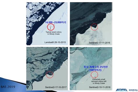 펭귄의날 특집 펭귄박사가 알려주는 남극펭귄 구하는 법