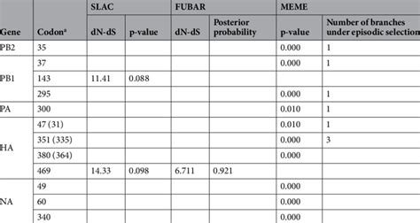 Mean Nucleotide Substitution Rates And Estimation Of Time Of The Most Download Scientific