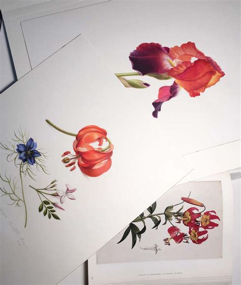 نقاشی گل با آبرنگ ️ نقاشی گل با آبرنگ برای کودکان نقاشی آبرنگ ساده