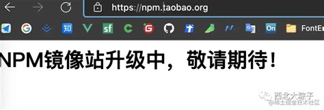 网络好有梯子npm Install还失败的原因解析？npm Install 动不动卡住咋办？ 最近有很多同学找到我问，安 掘金