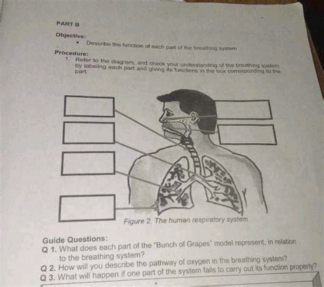 Part B Objective Descrite The Function Of Studyx