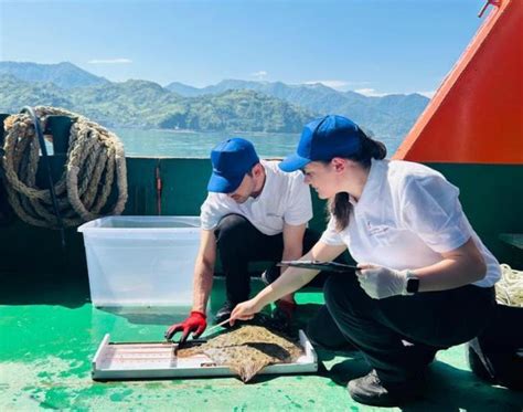 მიმდინარე პროექტები და კვლევები შავი ზღვის საქართველოს აკვატორიაში