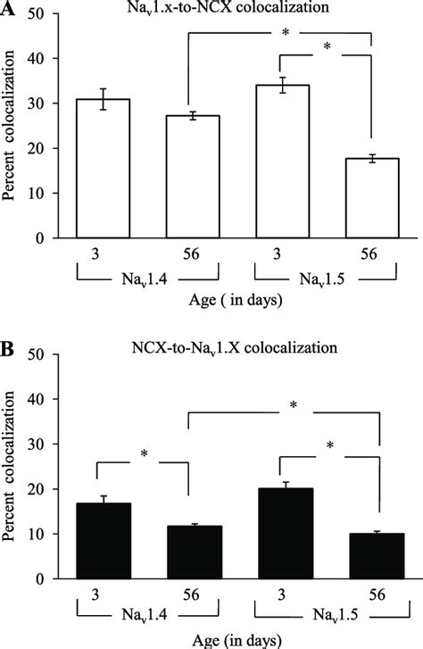 Traditional Colocalization Analysis Traditional Colocalization