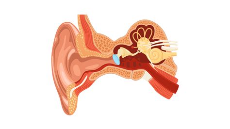 نکات درس ها Archives کنکورباز