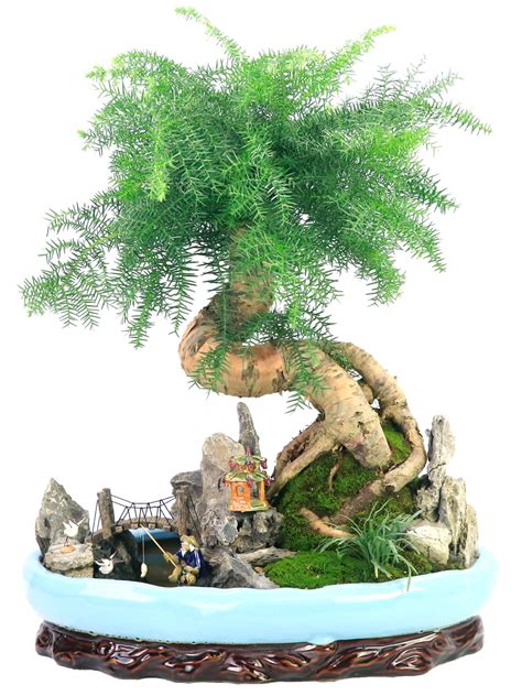 苏州绿植租赁苏州植物租摆苏州园区绿植养护 苏州雅卉室内植物租赁