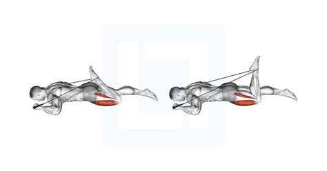 Intermediate Hip Flexor And Quad Stretch Guide Benefits And Form