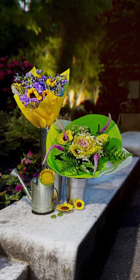 Blender Photoshop R Blender