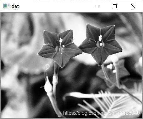 OpenCV如何利用python实现图像的直方图均衡化 开发技术 亿速云