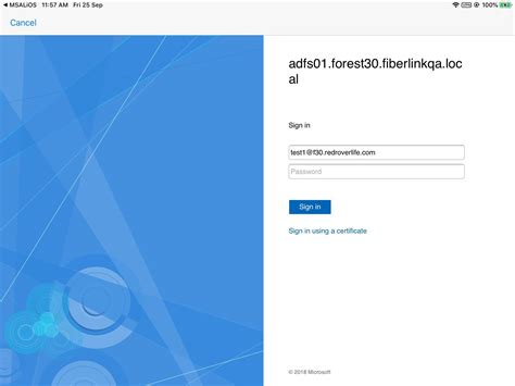 Authentication Issues Cert Based ADFS Password 1 1 10