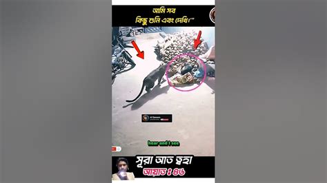 তিনি বলেছেন তোমরা ভয় করো না Youtube