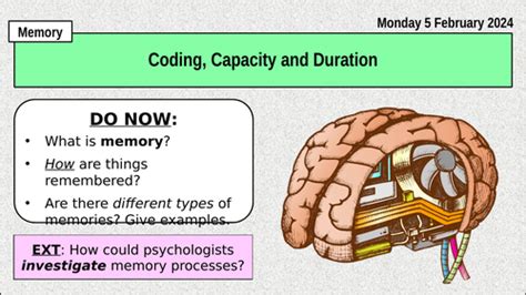 A Level Psychology Coding Capacity And Duration Memory Topic