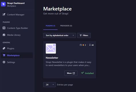 Strapi Newsletter Plugin Has Unclear Documentation Discussions