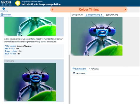 GROK Image Manipulation 1 In Python Introduction To Chegg