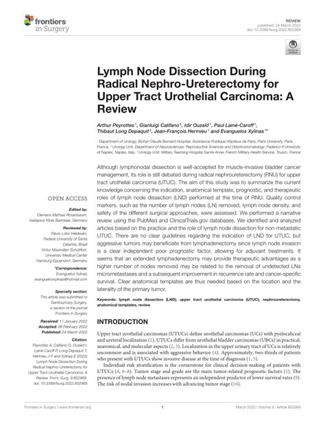 Pdf Lymph Node Dissection During Radical Nephro Ureterectomy For