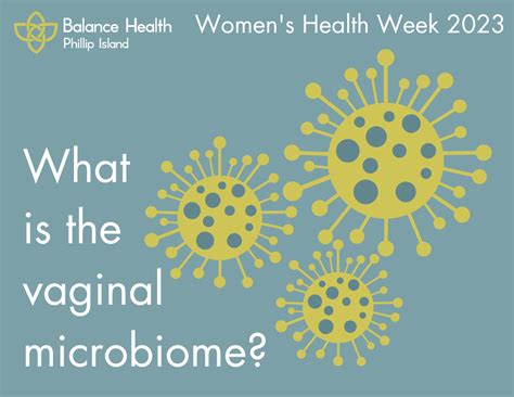 What Is The Vaginal Microbiome