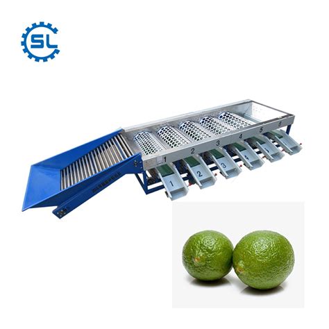 Automatic Fruit And Vegetable Sorting Machine Sorting Machine And Grading Machine