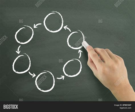Blank Cycle Diagram Image Photo Free Trial Bigstock