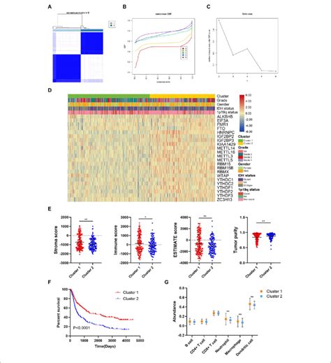Prognosis And Immune Infiltrations In Consensus Clustering Subgroups Download Scientific