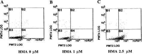 Histogram Of 2 Color Fluorescence Activated Cell Sorting Analyses Of Download Scientific Histogram Of 2 Color Fluorescence Activated Cell Sorting Analyses Of Download Scientific