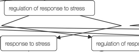 Javascript Prevent Crossing Of Arrows In Dagre D3 Stack Overflow