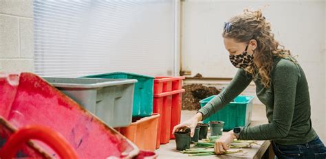 Research Extension And Outreach Entomology Cals
