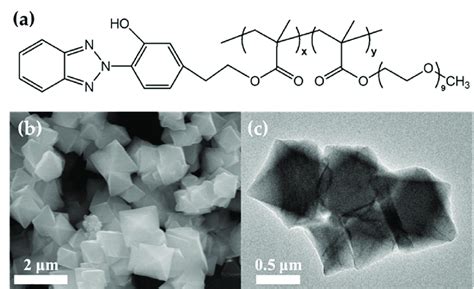 A Chemical Structure Of The Pbe Comb Copolymer B Sem And C Tem Download Scientific