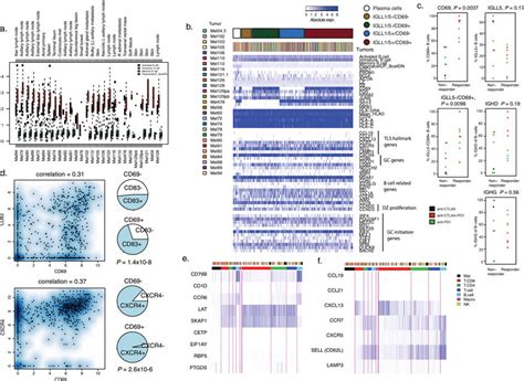 Scrna Seq Analysis Of Tumour Associated B Cells A Box Plots Of Download Scientific Diagram