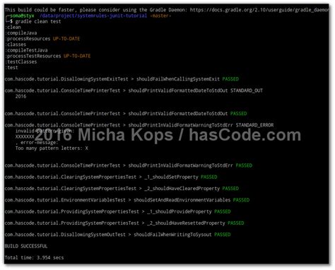 Handling System Properties Environment Variables Stdoutstderr In