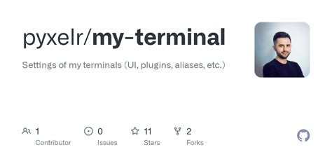 GitHub Pyxelr My Terminal Settings Of My Terminals UI Plugins