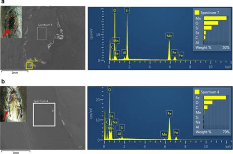 Eds Analysis Of Oxide Defect A Composition Of Oxide In Sgarc440 Sio2 Download Scientific