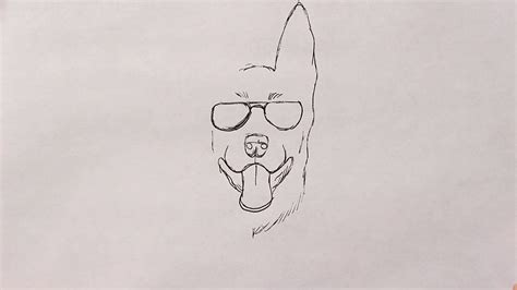 Как нарисовать собаку за 8 шагов