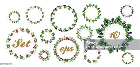 잎과 열매의 다양한 화환 세트 검은 건포도와 크랜베리의 열매 0명에 대한 스톡 벡터 아트 및 기타 이미지 0명 건강한 식생활 검은색 까치밥나무 열매 Istock