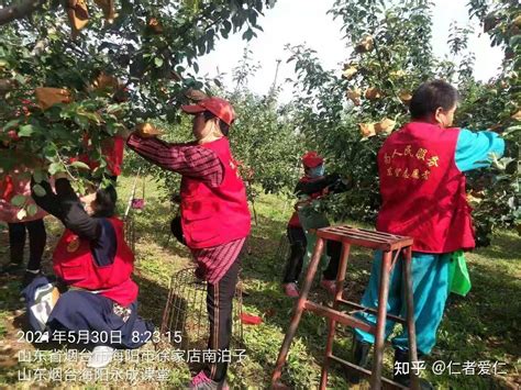 乡村果园再现红马甲风采 知乎