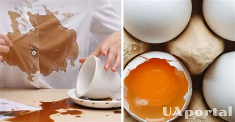 Як позбутися плям від кави прості засоби щоб вивести плями на одязі лайфхак з яйцем