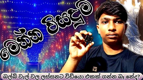 බල්බ් වැල් වල ගැසසීමට මෙන්න විසදුම අපෙන් Heres The Solution To Bulb Vines Youtube