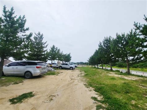 강원도 고성 삼포해수욕장 캠핑 해변 오토캠핑장 차박 후기 네이버 블로그
