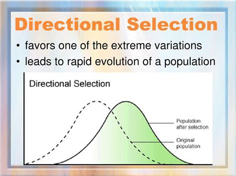 Define Directional Selection PhishMe Reporter Demo
