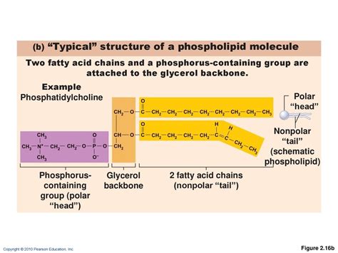 Basic Chemistry Ch Ppt Download